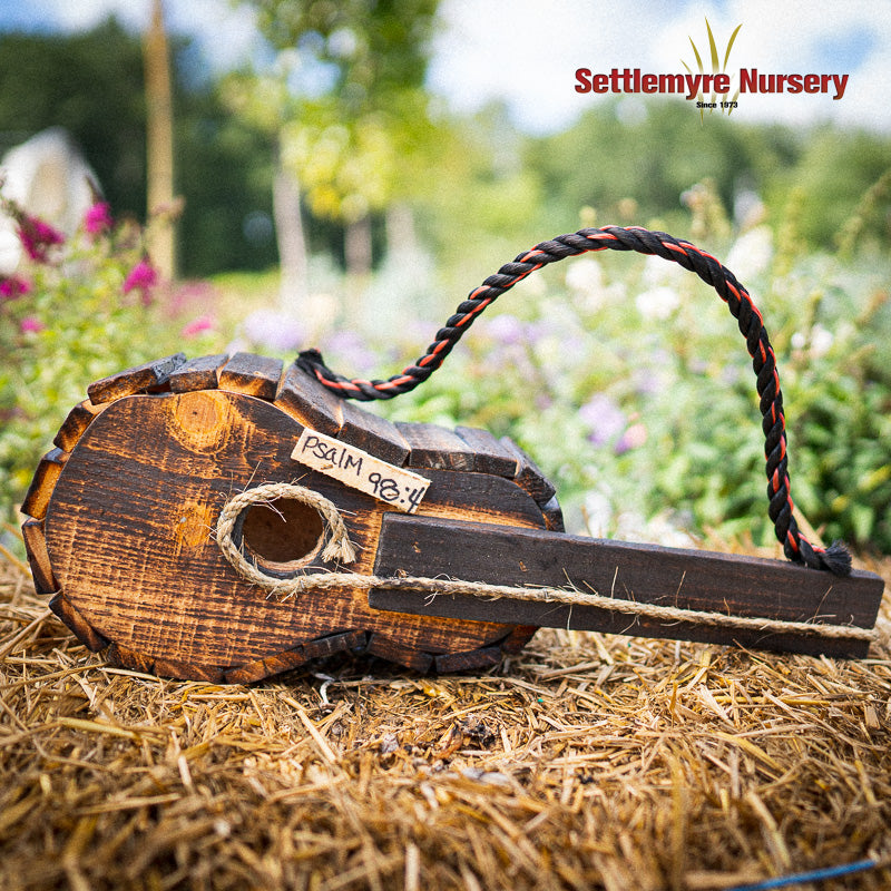 Birdhouse Guitar | Settlemyre Nursery