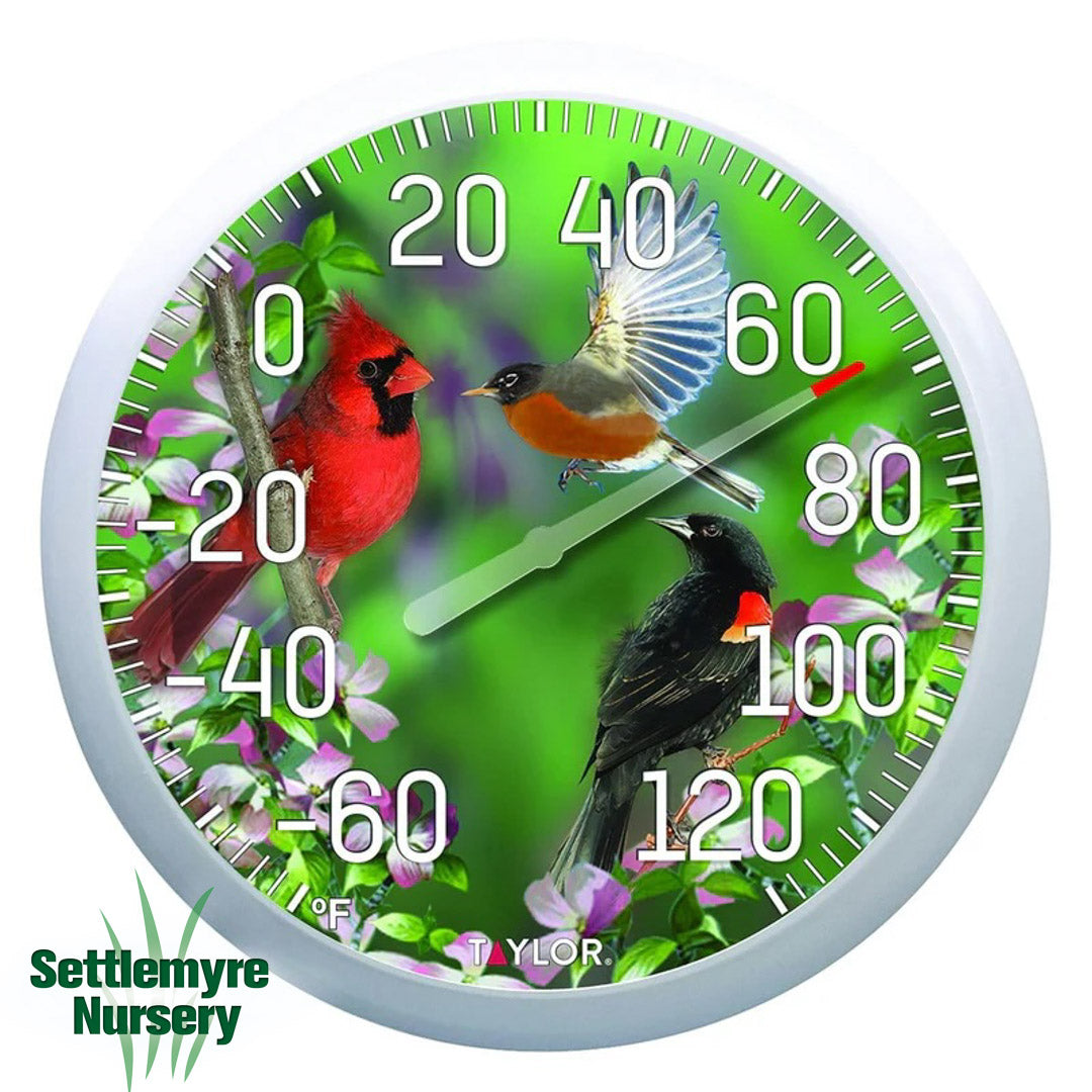 Taylor Thermometer Spring Birds 13" – Settlemyre Nursery
