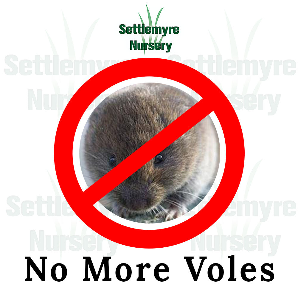 PermaTill - Permanent Soil Aeration and Vole Deterrent – Settlemyre Nursery